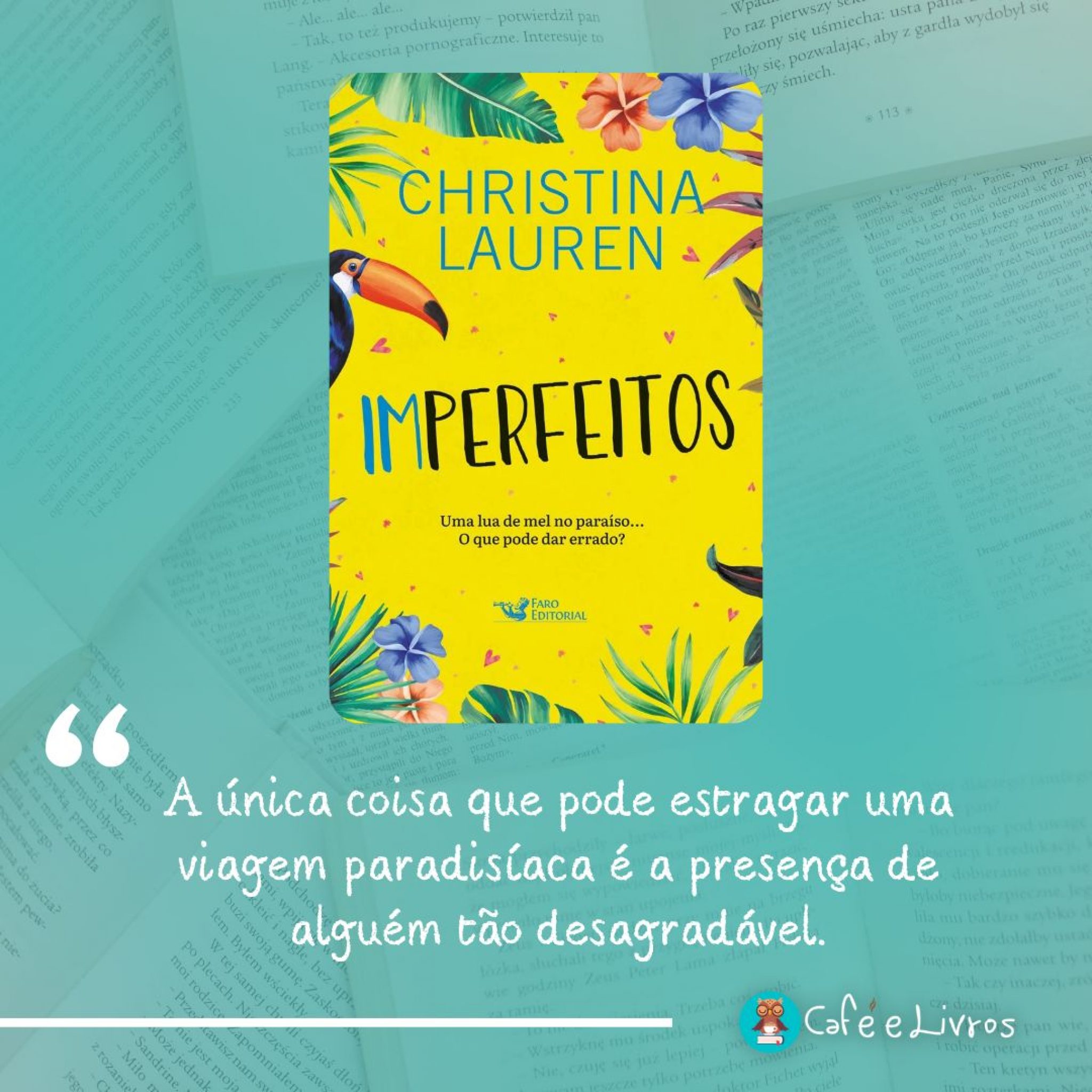 Imperfeitos - Christina Lauren: Resumo e Resenha Completa