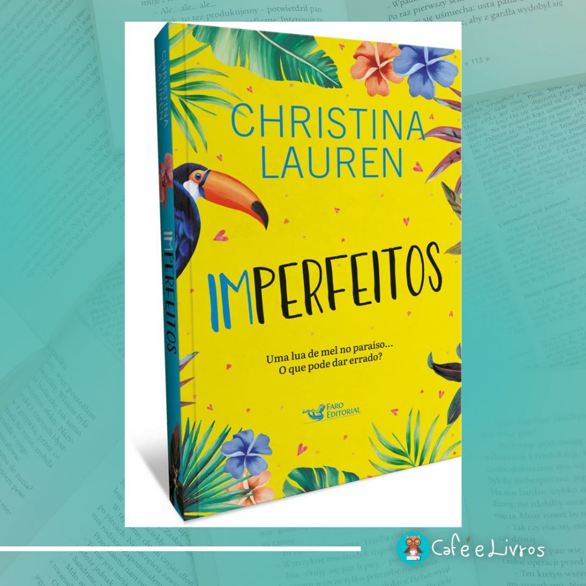 Imperfeitos - Christina Lauren: Resumo e Resenha Completa